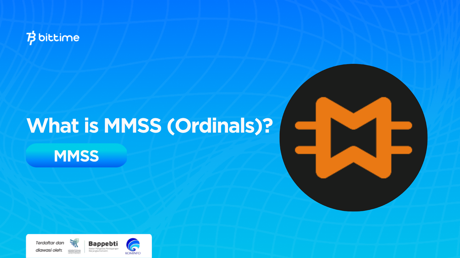 What is MMSS (Ordinals) (MMSS)? Cryptocurrency with an Innovative ...